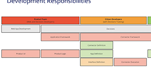 Engineering Frameworks to Achieve Citizen Development - Decisions